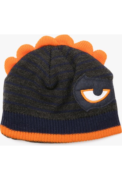 Koton Erkek Bebek Aplikeli Bere