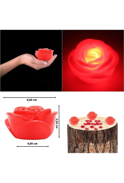Pi İthalat LED Işıklı Gül Romantik Gül