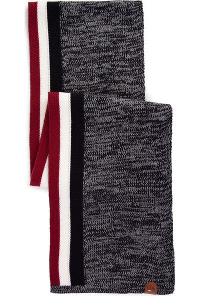 U.S. Polo Assn. Erkek Kaşkol 50209792-Vr033