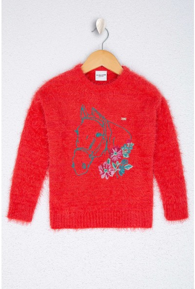 U.S. Polo Assn. Kız Çocuk Triko Kazak 50213225-Vr039