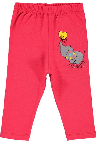 Kujju Kız Bebek Uzun Tayt 6-18 Ay Narçiçeği Kujju Kız Bebek Uzun Tayt 6-18 Ay Narçiçeği