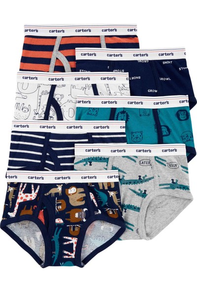 Carter's Erkek Çocuk İç Giyim 3H740610