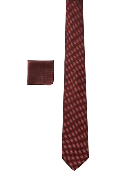 Altınyıldız Classics Desenli Nano Kravat-Mendil Set