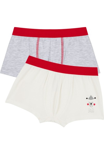 Penti Çok Renkli Erkek Çocuk Bear 2li Boxer