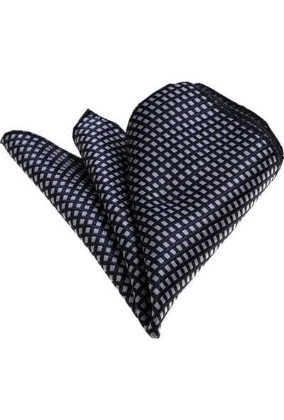 Exve Exclusive Lacivert Kafes Desen Yaka Mendili