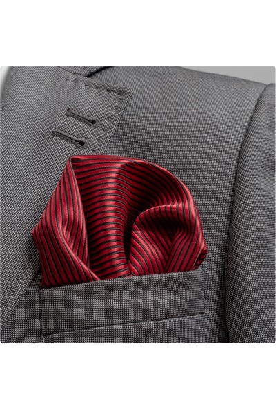 Exve Exclusive Vişne Siyah Çizgili Yaka Mendili