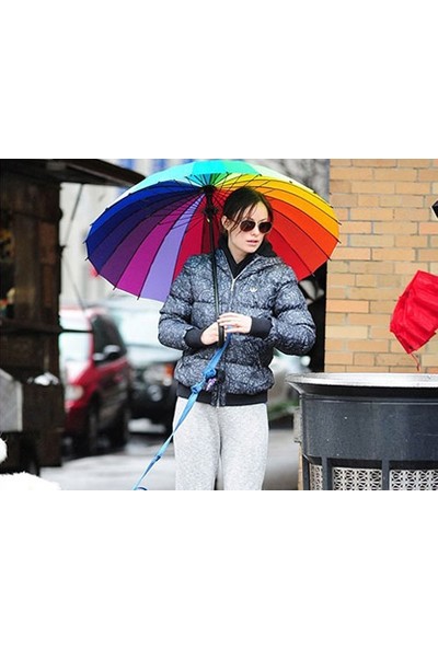 Wildlebend Rengarenk Gökkuşağı Şemsiye