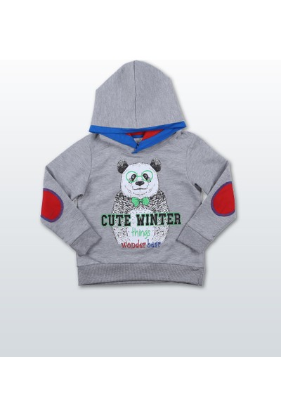 Wonder Kids Erkek Çocuk Kapşonlu Sweatshirt WK17W1512