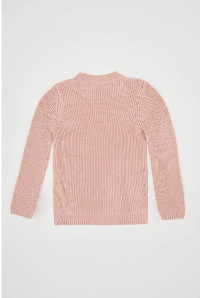 DeFacto Kız Çocuk Regular Fit Bisiklet Yaka Örgü Desenli Triko Kazak N8534A620AU