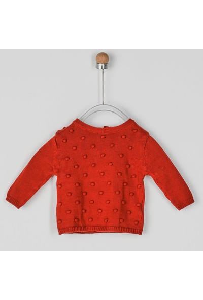 Panço Kız Bebek Triko Kazak