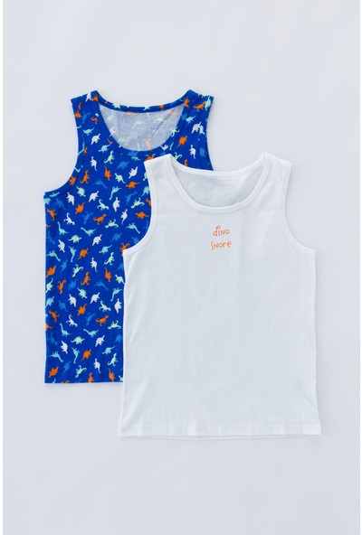 Penti Çok Renkli Erkek Çocuk Dino 2'li Atlet