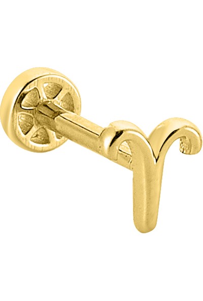 Dianora Piercing Koç Burcu Altın Tragus Piercing Dianora Piercing Koç Burcu Altın Tragus Piercing