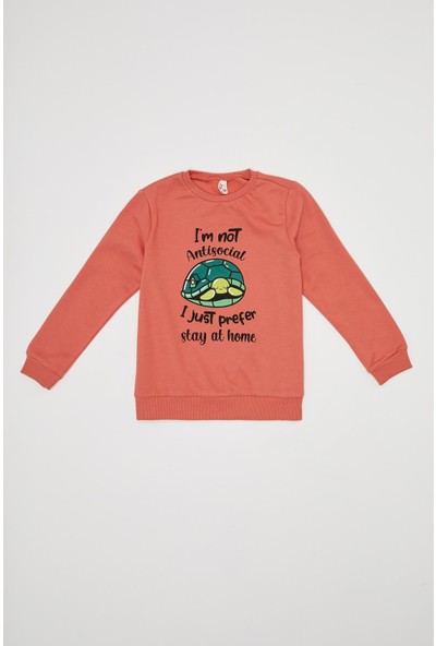 DeFacto Kız Çocuk Regular Fit Bisiklet Yaka Kaplumbağ Baskılı Sweatshirt S9448A620AU