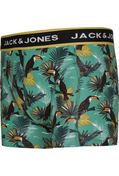 Jack & Jones Jacıver Trunks Try Mint Erkek Boxer