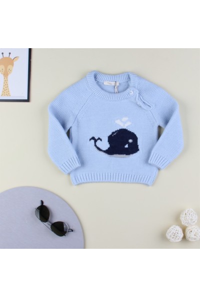Baby Mio Balina Desenli Triko Erkek Bebek Kazak
