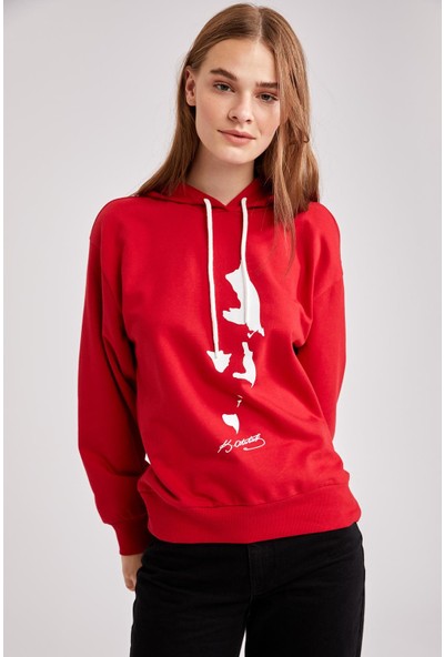 DeFacto Regular Fit Kapüşonlu Uzun Kollu Sweatshirt T3644AZ20WN