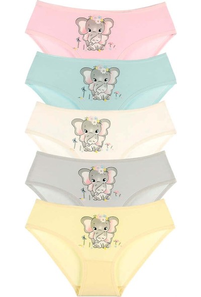 Donella 5'li Fil Baskılı Kız Çocuk Külot - 4171FS-5LI Renkli 6 - 7 Yaş