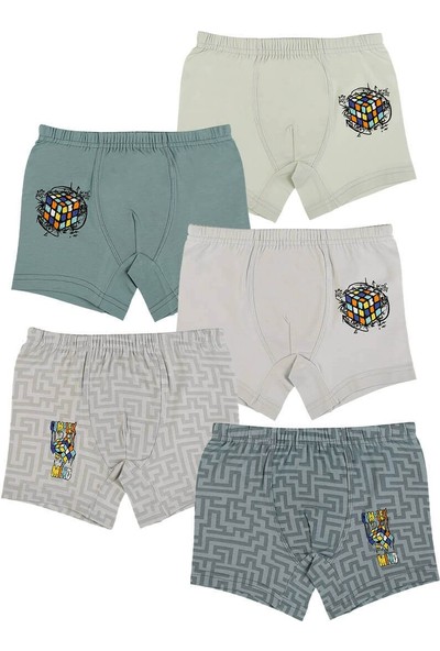 Donella 5'li Kübik Baskılı Erkek Çocuk Boxer - 7571854ZP-5LI Renkli 2 - 3 Yaş