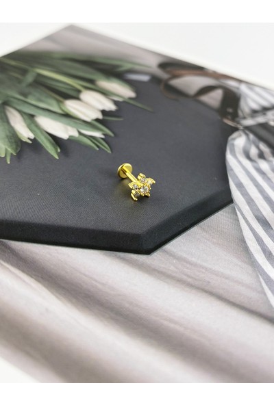 ÇLK Accessories 316L Çelik Yıldız Figür Piercing P200