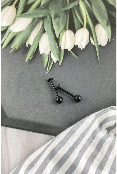 ÇLK Accessories 316L Çelik 2 Li Büyük Toplu Piercing P0502