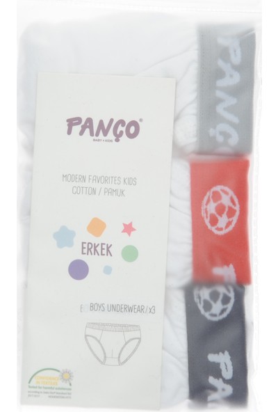 Panço Erkek Çocuk Slip Çamaşır 9935804196