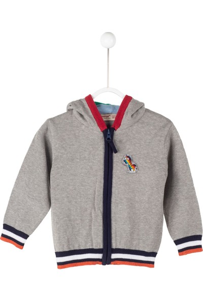 Silversun Gri Renkli Kapüşonlu Önden Fermuar Kapamalı Uzun Kol Bebek Erkek Kazak|t 114649 Silversun Gri Renkli Kapüşonlu Önden Fermuar Kapamalı Uzun Kol Bebek Erkek Kazak|t 114649