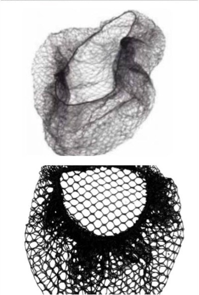 Antaç Claris 60201 Topuz Filesi