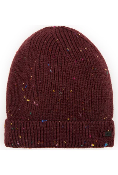 U.S. Polo Assn. Erkek Çocuk Kırmızı Bere 50229854-VR014