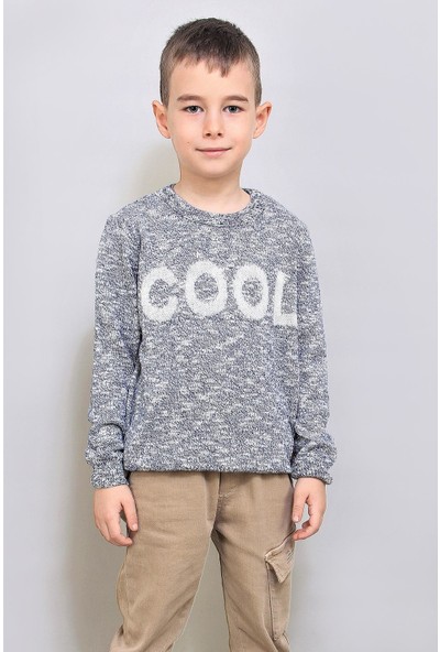 Alexandergardı Çocuk Desenli Triko Kazak (C19-AG50374)