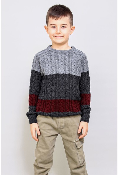 Alexandergardı Erkek Çocuk Triko Kazak (C20-187517)