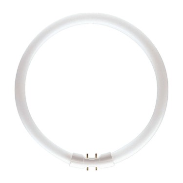 MASTER TL5 Circular TL5C8 Philips Lighting, 48% OFF