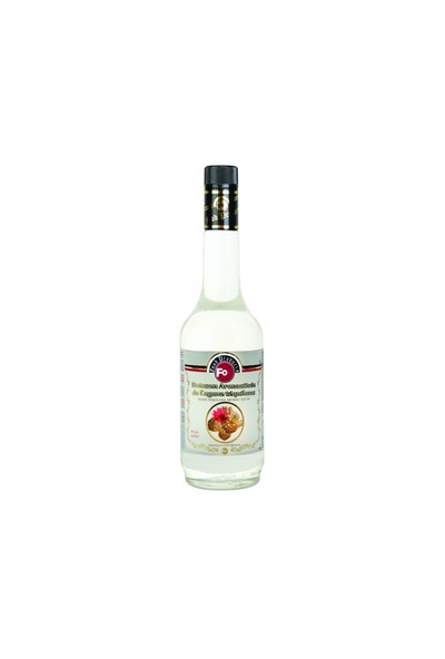 Fo Agave (Tekila) Aromalı Kokteyl ve Kahve Şurubu 700ml