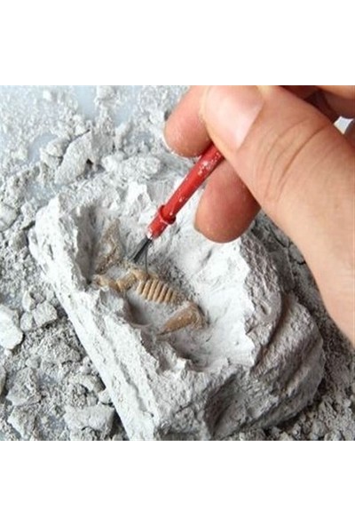 BuldumBuldum Kazı Seti - Mumya