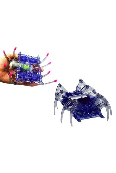 BuldumBuldum Dıy Spider Robot - Solar Örümcek Robot