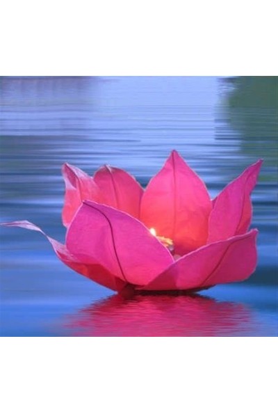 BuldumBuldum Water Lantern - Nilüfer Su Dilek Feneri