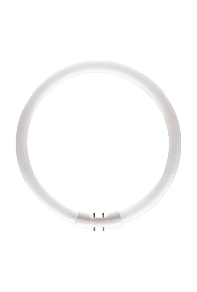 MASTER TL5 Circular 60W/840 1CT/10 4000K Beyaz Floresan Ampul MASTER TL5 Circular 60W/840 1CT/10 4000K Beyaz Floresan Ampul