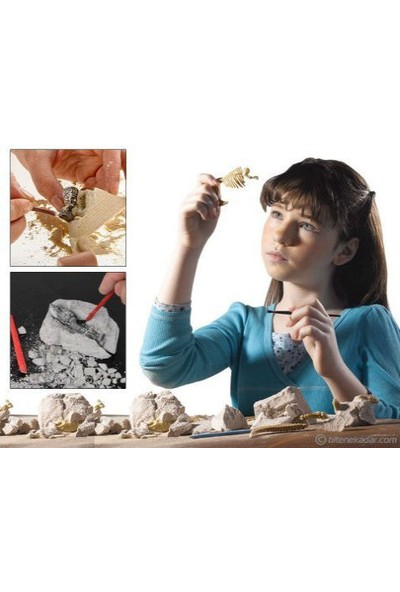 Toptancı Kapında Mumya Arkeolojik Kazı Seti