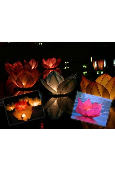 Toptancı Kapında Nilüfer (Çiçek) Su Feneri