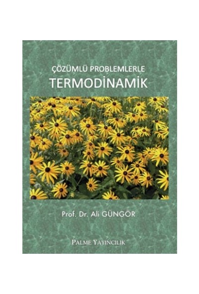 Çözümlü Problemlerle Termodinamik