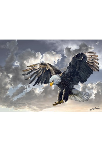 Art Siyah Beyaz (Kartal) Puzzle : 500 Parça Art Siyah Beyaz (Kartal) Puzzle : 500 Parça