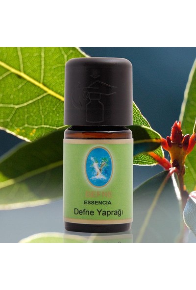 Nuka Defne Yaprağı 10Ml Aromatik Cilt Bakım Masaj Yağı Defne Yağı Nuka Defne Yaprağı 10Ml Aromatik Cilt Bakım Masaj Yağı Defne Yağı