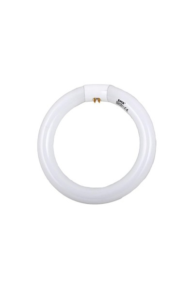 Şavk 22W Simit Floresan G10Q 22W/865