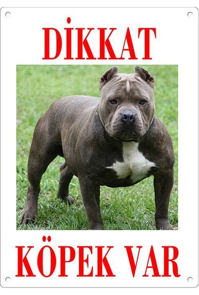 Dikkat Köpek Var Uyari Levhasi (Renkli Pitbull) Dikkat Köpek Var Uyari Levhasi (Renkli Pitbull)