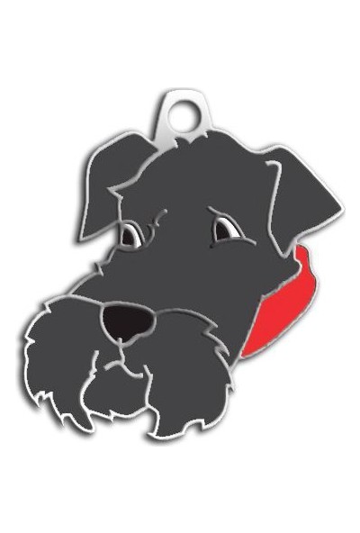 Dalis Pet Tag - Schnauzer Köpek Künyesi