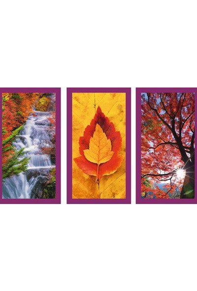 Ravensburger 163281 Sonbahar Yaprakları 3 x 500 Parça Puzzle Ravensburger 163281 Sonbahar Yaprakları 3 x 500 Parça Puzzle