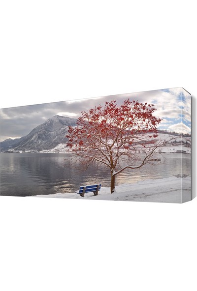 Dekor Sevgisi Kar ve Dağ Manzarası Canvas Tablo 60x40 cm