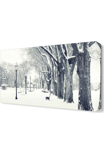 Dekor Sevgisi Kar ve Ağaçlar Tablosu 45x30 cm
