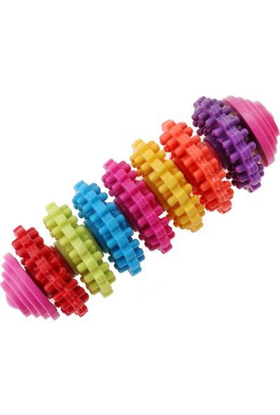 Lion 13.5 cm Köpek Diş Oyuncağı