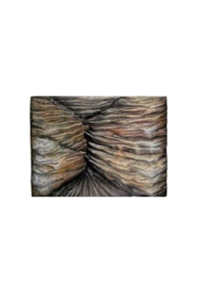 Kw Zone Arka Fon 60 x 5 x 45 Cm