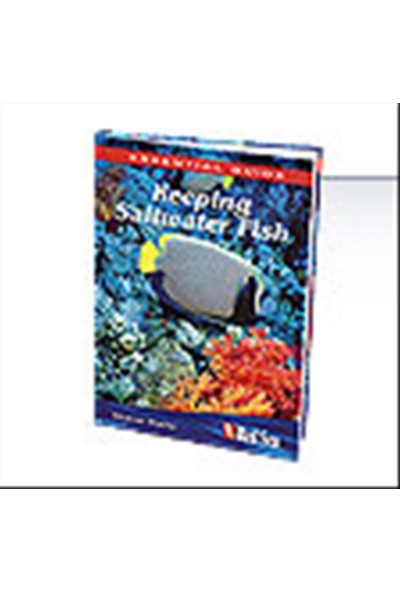 Red Sea Keeping Salt Water Fish İngilizce